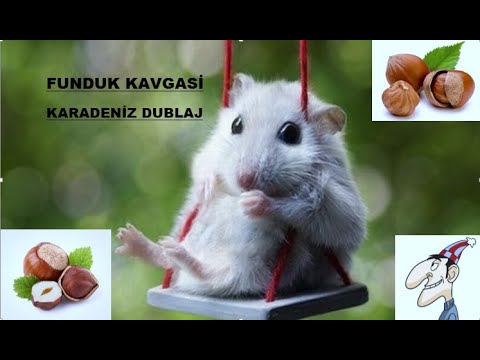 FUNDUK KAVGASİ - KARADENİZ DUBLAJ