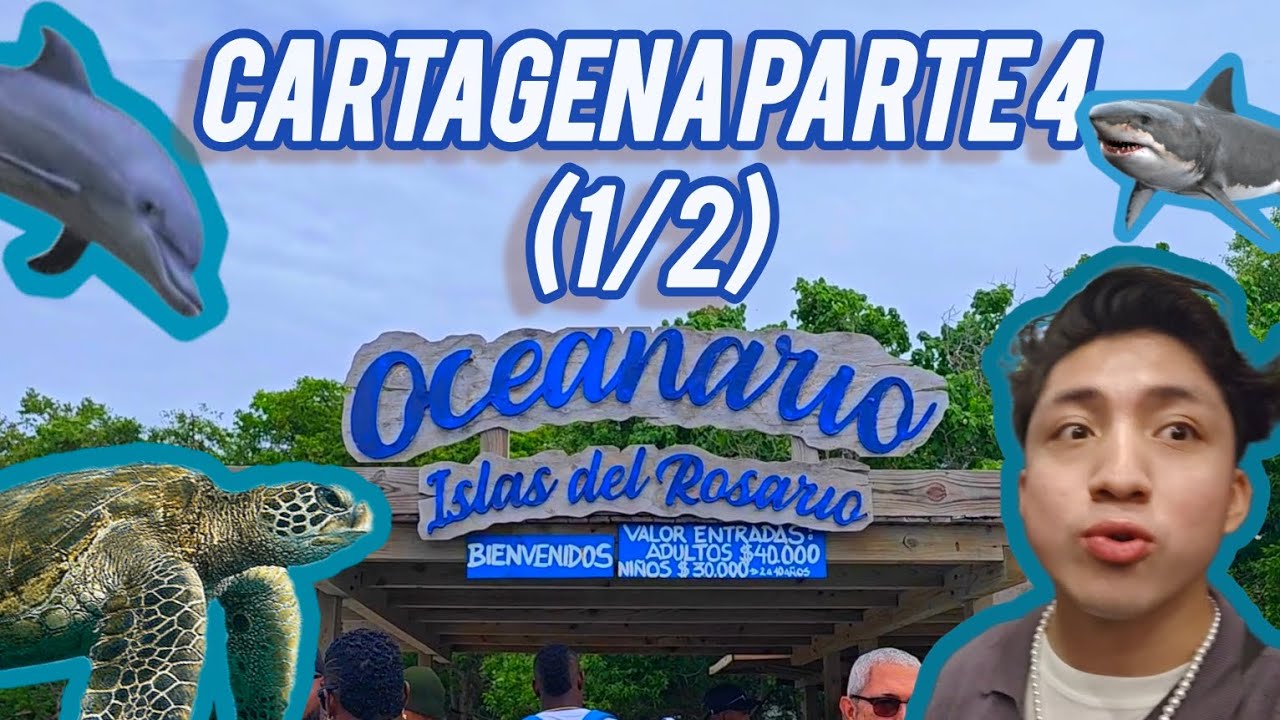 VIAJE A CARTAGENA PARTE 4: OCEANARIO - YouTube