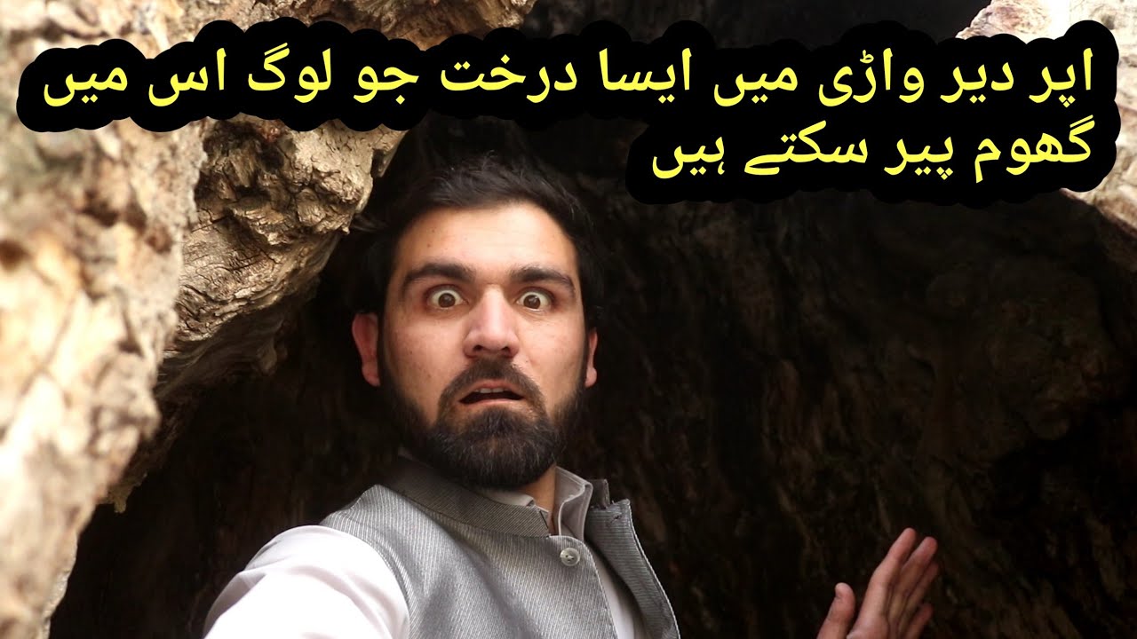 Dangerous Tree In Upper Dir Wari. VLOG #112 - YouTube