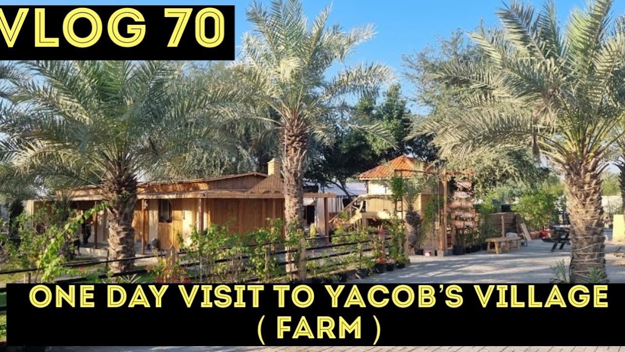 #VLOG 70 - VISITING YACOB’S FARM, AL HELIO AJMAN #farmvisit #ajman # ...