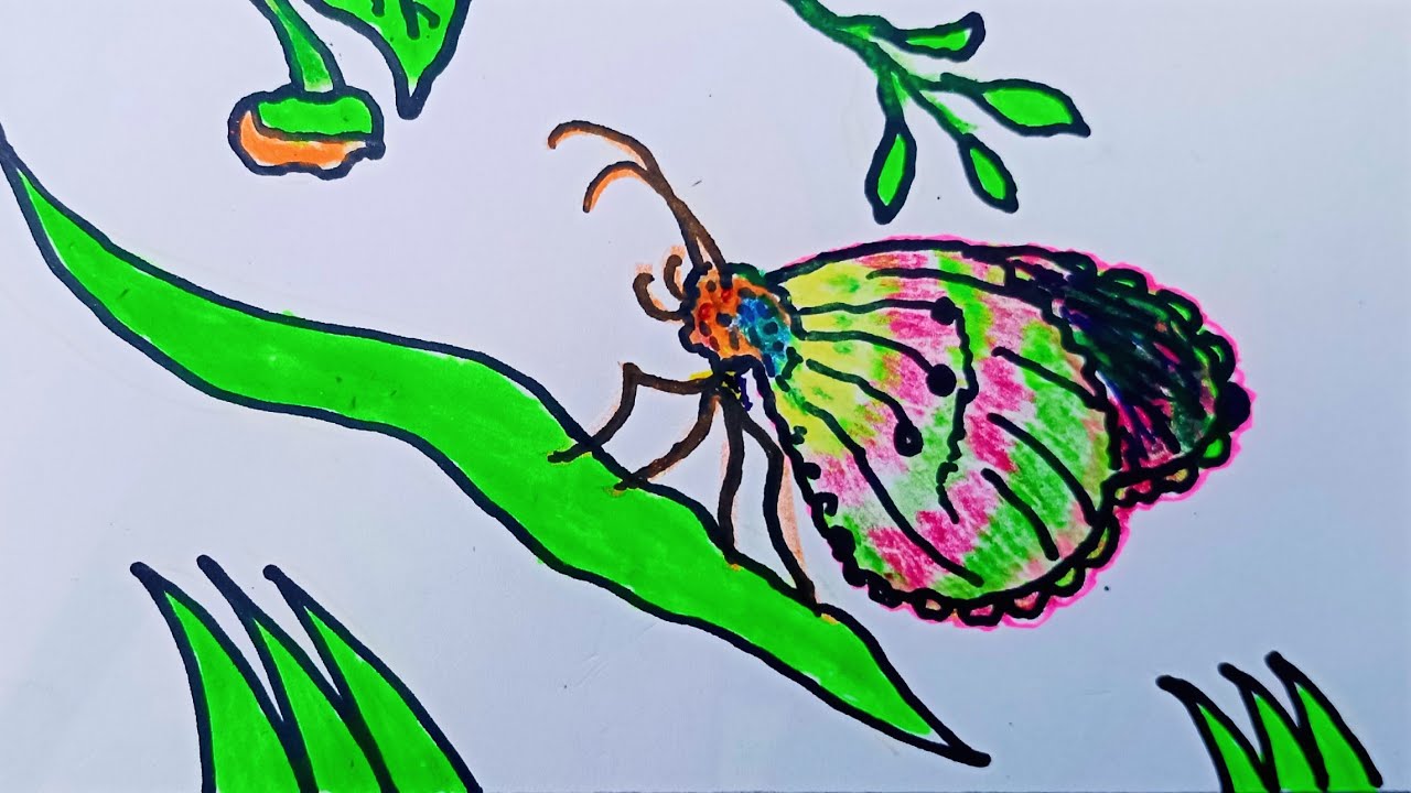 Butterfly Drawings Tutorial | How to draw Butterfly | Projapoti Aka # ...