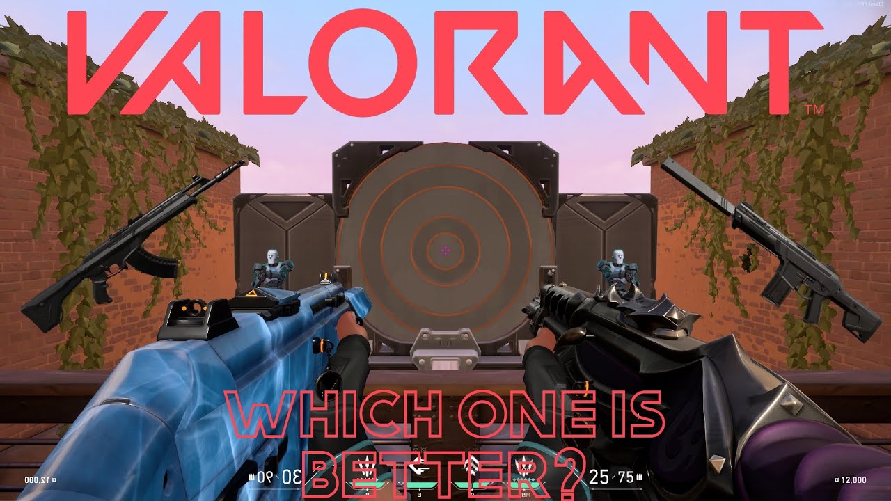 WHY YOU SHOULD PICK THE PHANTOM OVER THE VANDAL (Phantom VS Vandal ...