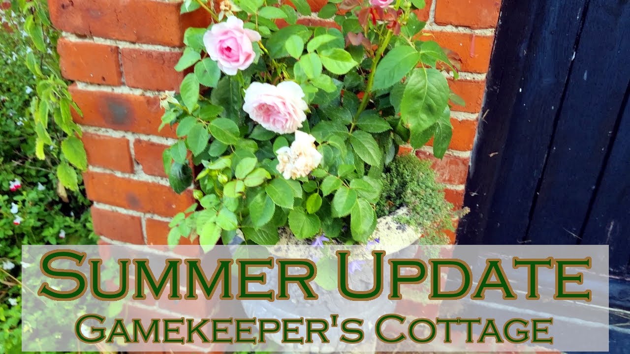 June Update - Garden Progress & Path Building | Summer Heat at ...