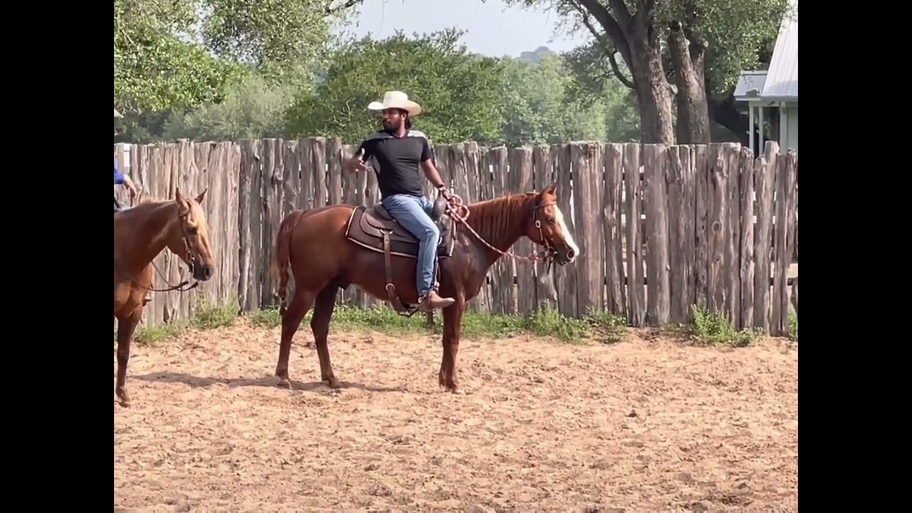 Western cutting training - YouTube