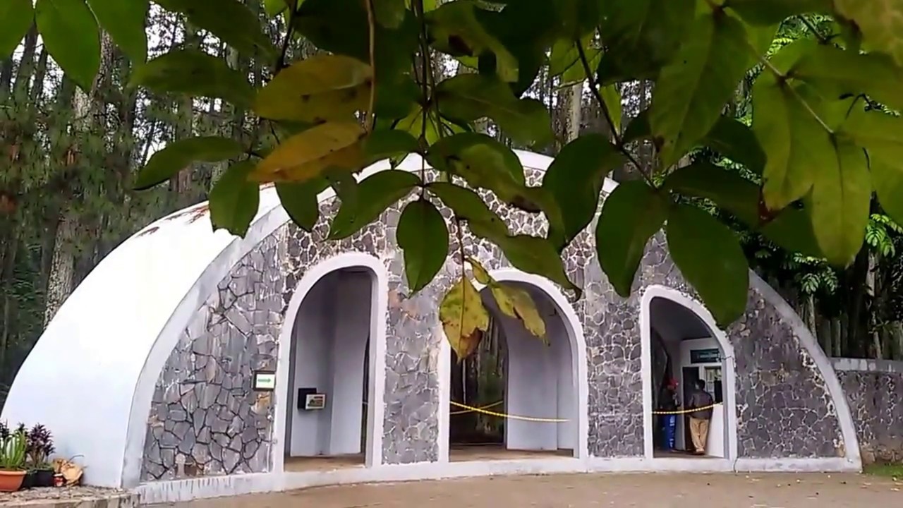 Taman Hutan Raya (Tahura) Ir H Djuanda - Bandung - YouTube