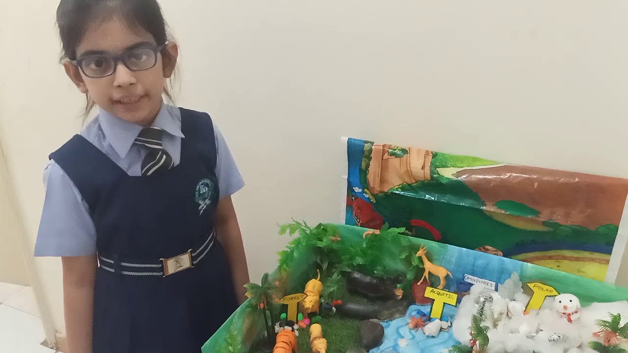 project on animals - YouTube