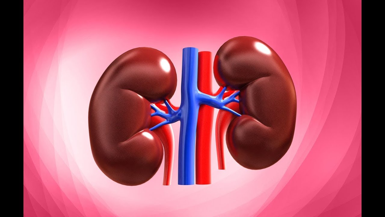 Nëse doni të mbroni veshkat tuaja, MOS e bëni këtë! - YouTube