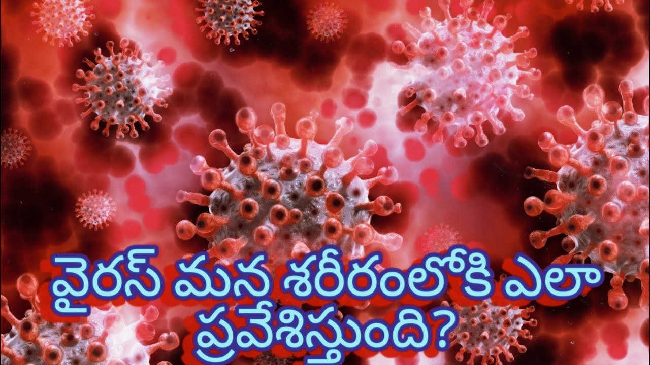 How virus enters into our body? - YouTube