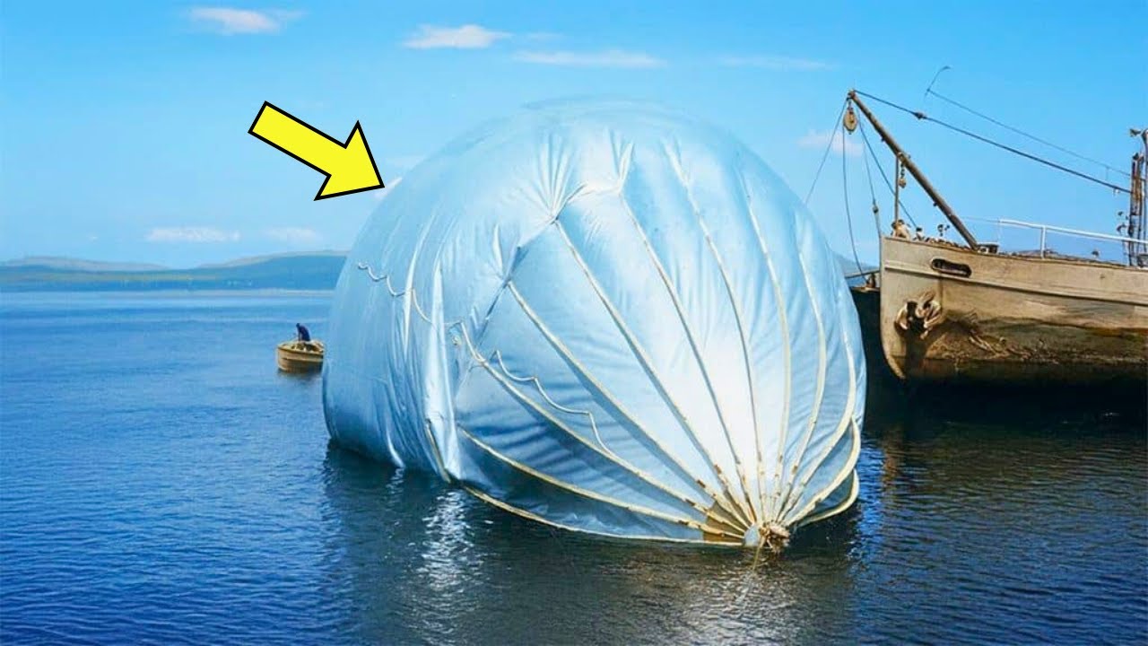 Dock Workers Spot Strange Balloon, Turn Pale When They See What’s ...