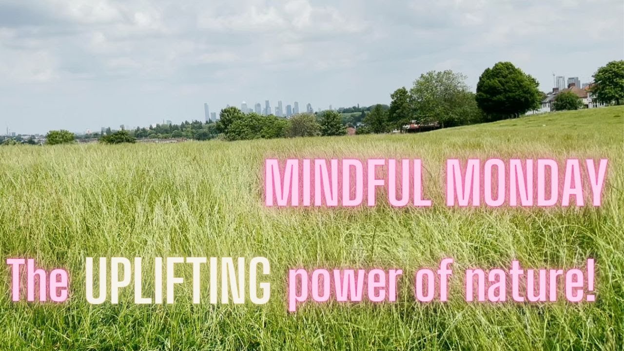 Mindful Monday - UPLIFTING nature video meditation - Vibrant, Confident ...