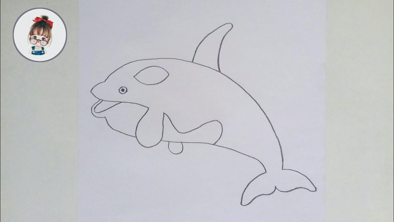 how to draw cute dolphin easy step | easy dolphin sketch @MTCRDrawing ...