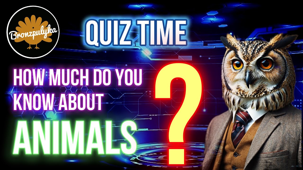 ANIMAL QUIZ | Test your knowledge about animal records - YouTube