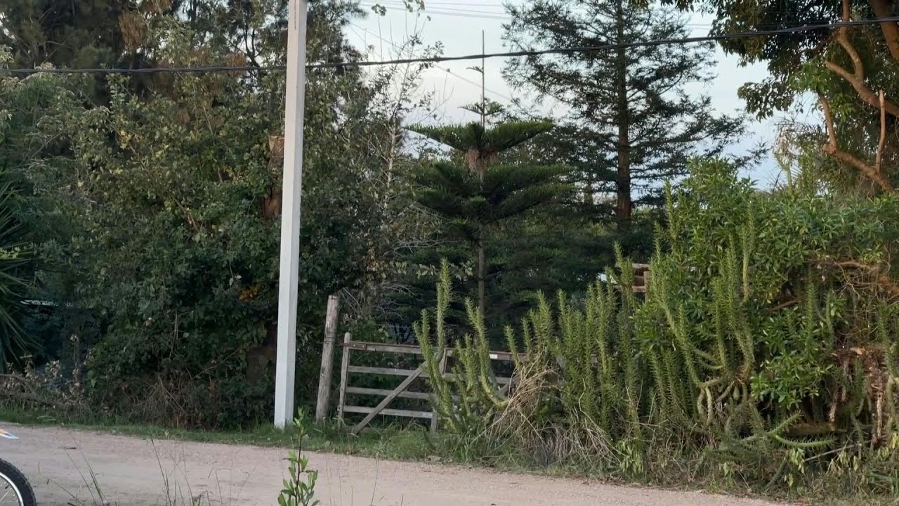 Scene outside home of former president of Uruguay Jose 'Pepe' Mujica ...