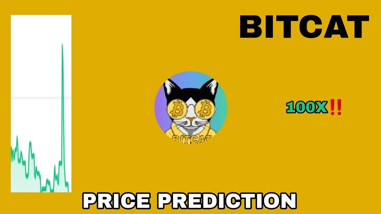 BITCAT TOKEN TO THE MOON‼️ BITCAT PRICE PREDICTION 100X GAINS‼️ POTENTIAL CRYPTO TO BUY NOW⁉️ ...