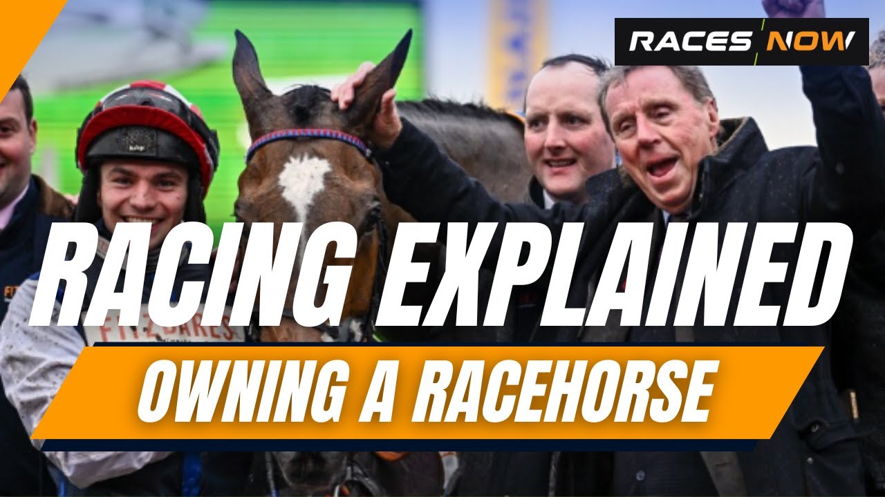 Owning A Racehorse | Horse Racing Explained - YouTube