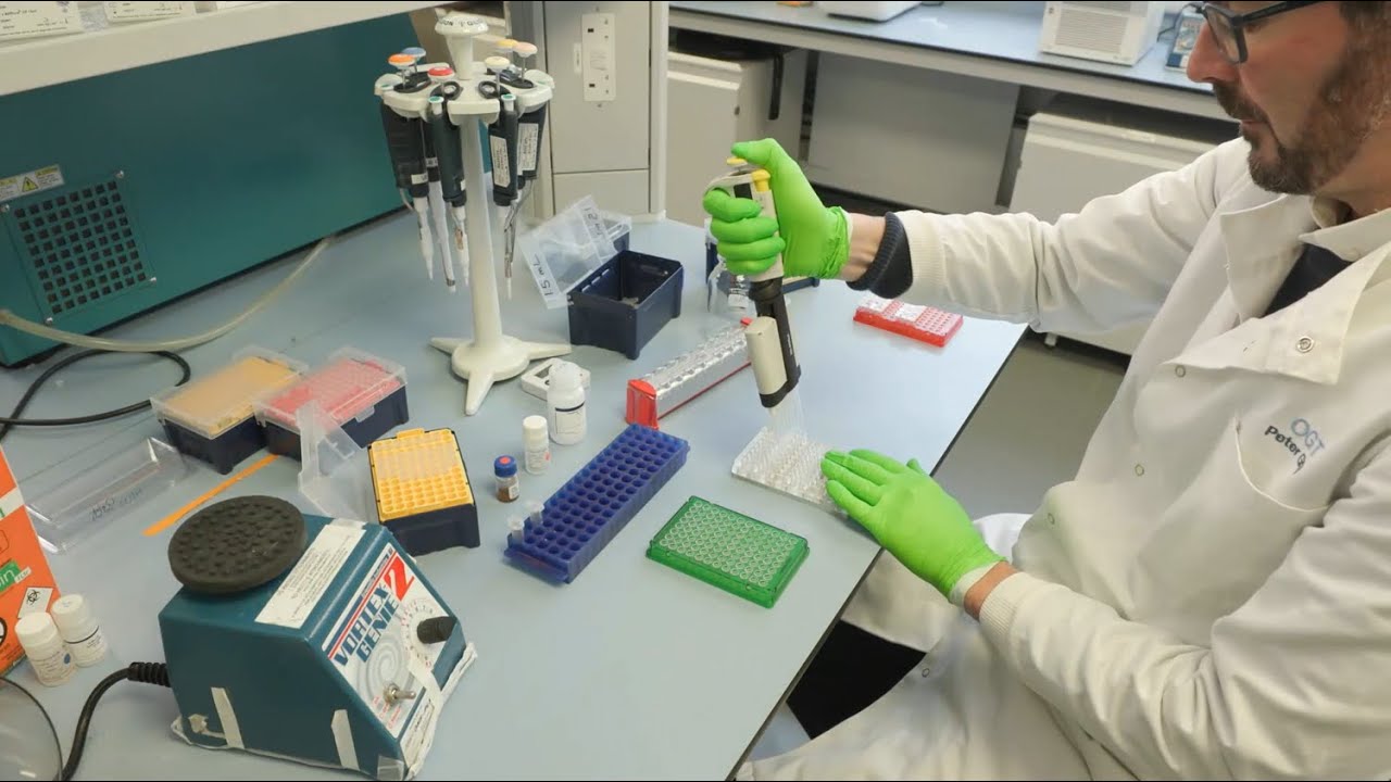 NGS library preparation protocol for solid tumour samples - Preparation ...