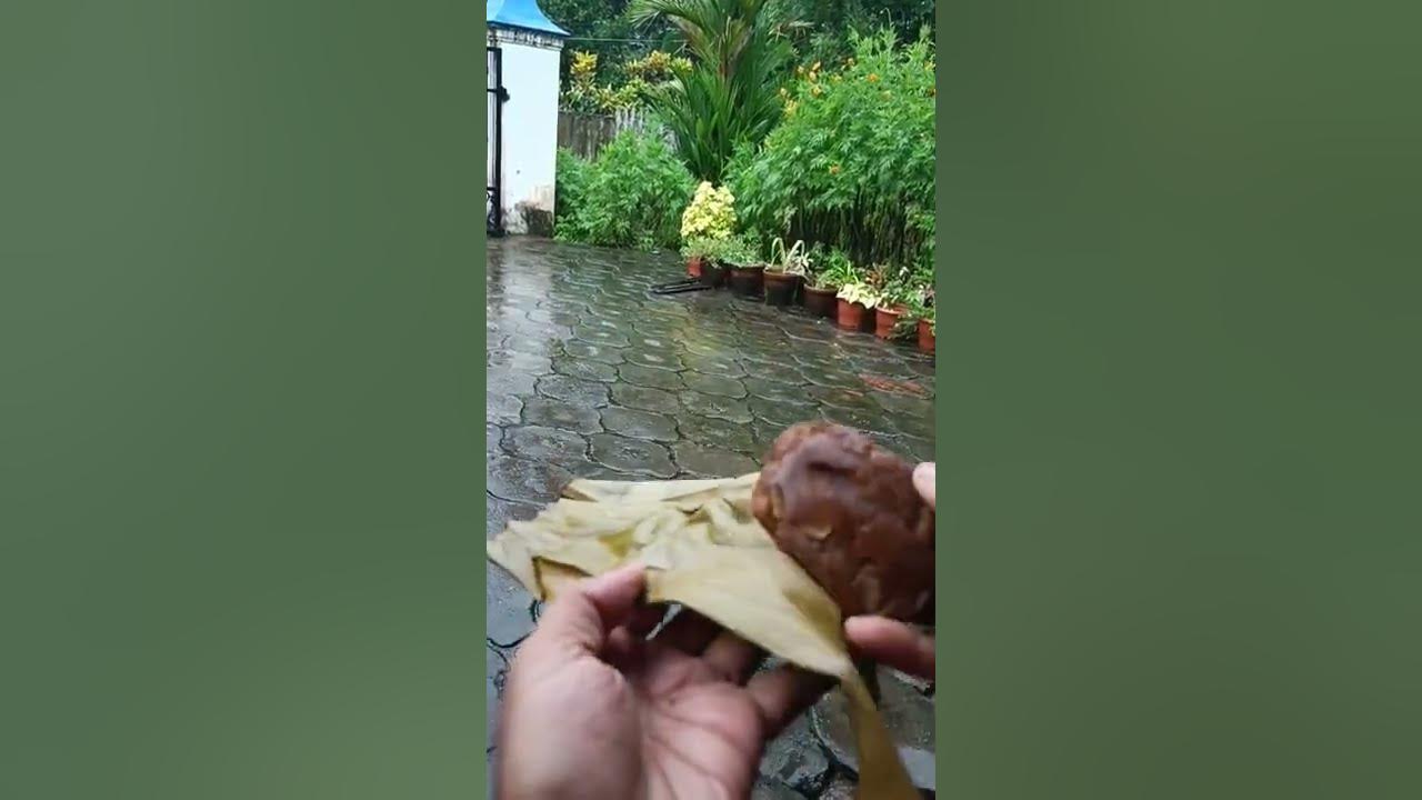 Unboxing Video chakkada chakkappazham chakkapazham jackfruit unboxing-video-chakkada-chakkappazham-chakkapazham-jackfruit