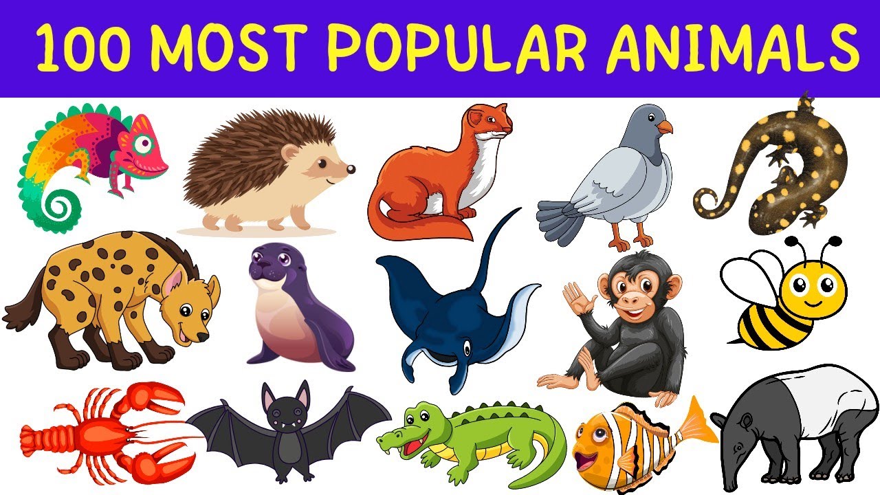 Animals Name | Learn Names Of 100 Most Popular Animals In The World ...