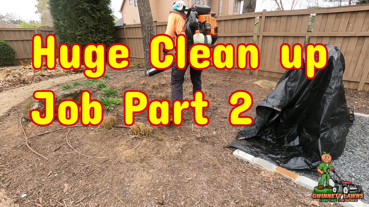 Huge Cleanup Job Part 2 - YouTube