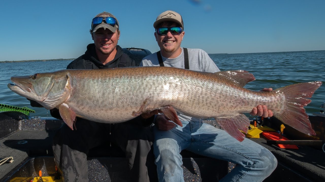 Two 50" Muskies In ONE Day!! (INSANE MUSKIE FISHING) - YouTube