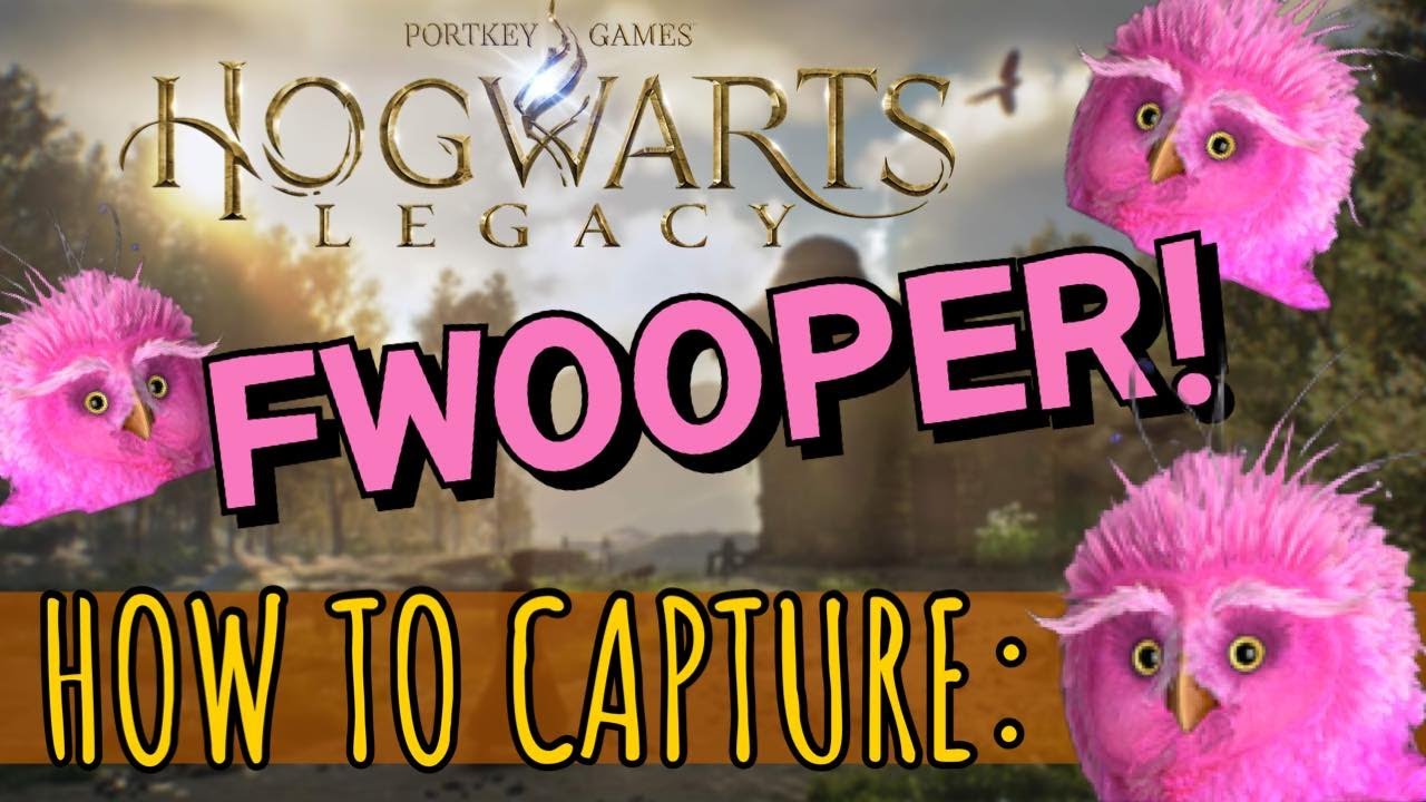 ⚡Where to Find and Capture the Fwooper in Hogwarts Legacy⚡ - YouTube