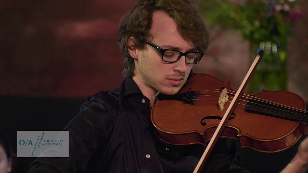 Franz Anton Hoffmeister: Violakonzert D-Dur | 1. und 2. Satz | Ionel ...