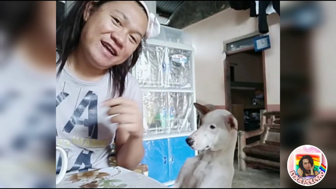 askal -The Phillipine's local street dog aka ASPIN (kulitan w/ our baby ...