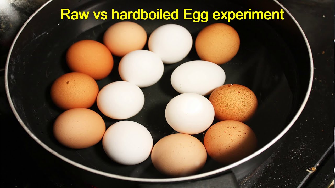 Raw vs hard boiled Egg differentiate experiment | Nature Pro - YouTube