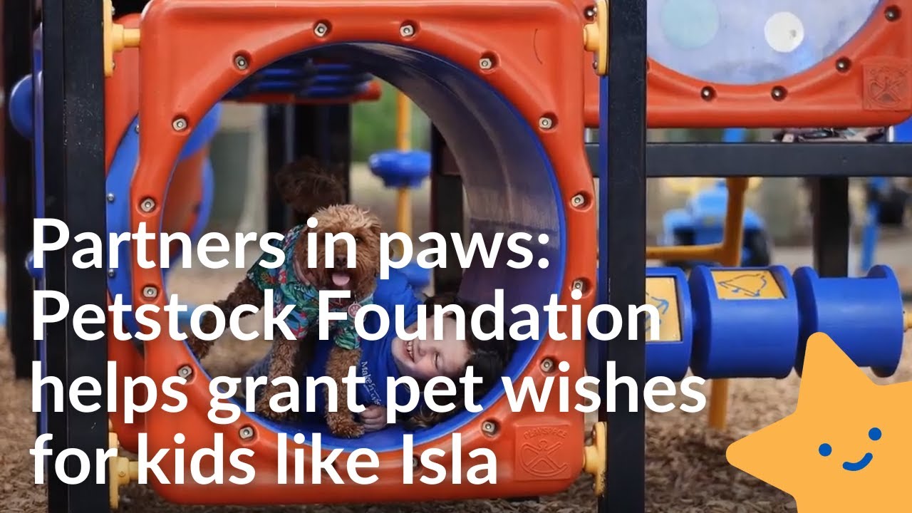 Partners in paws: Petstock Foundation helps grant life-changing pet ...