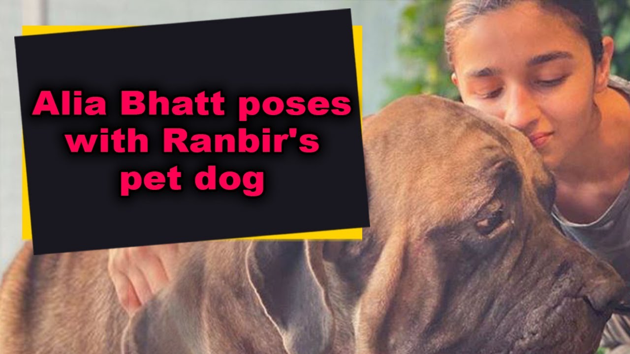 Alia Bhatt poses with Ranbir's pet dog - YouTube