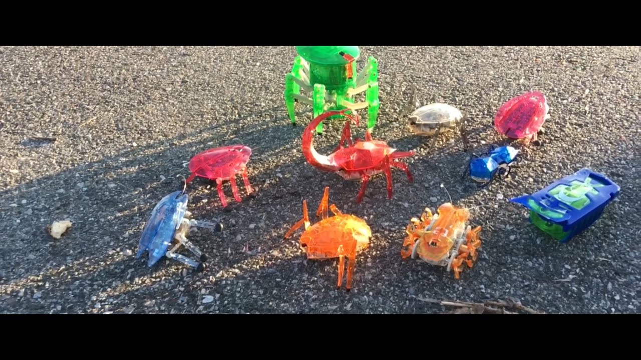 Hex Bugs scene 11 - YouTube