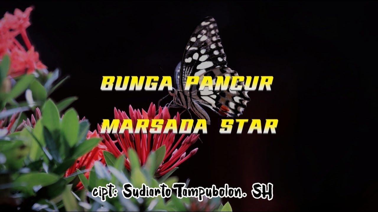 MARSADA STAR - Bunga Pancur (Lirik) - YouTube