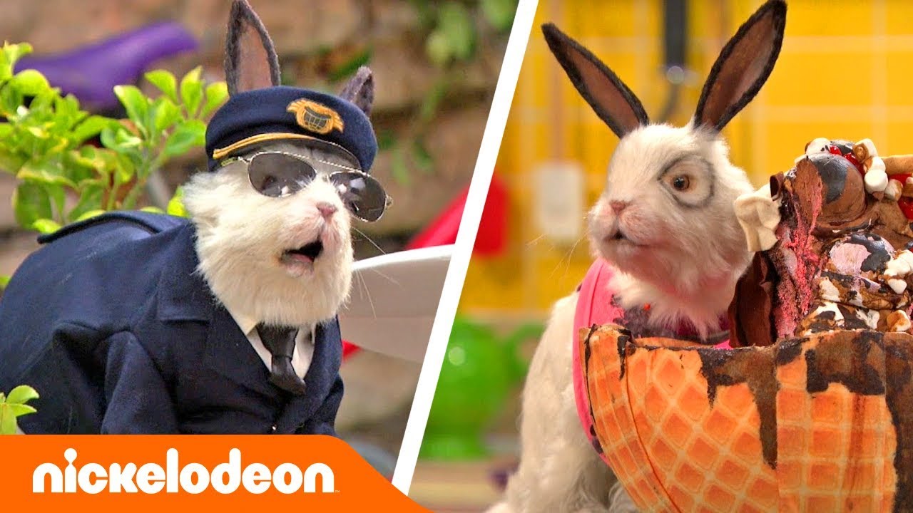 Die Thundermans | Das Beste von Dr. Colosso Teil 2! 🐇 | Nickelodeon ...