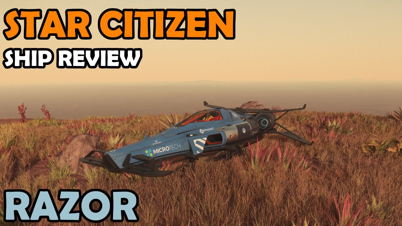 MISC Razor Review | Star Citizen 3.10 Gameplay - YouTube