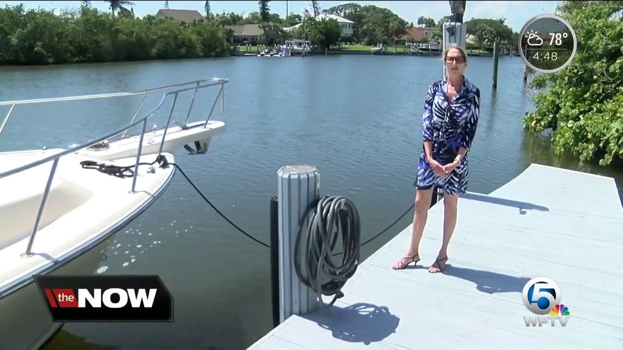 Brevard County fish kill alarms Treasure Coast - YouTube