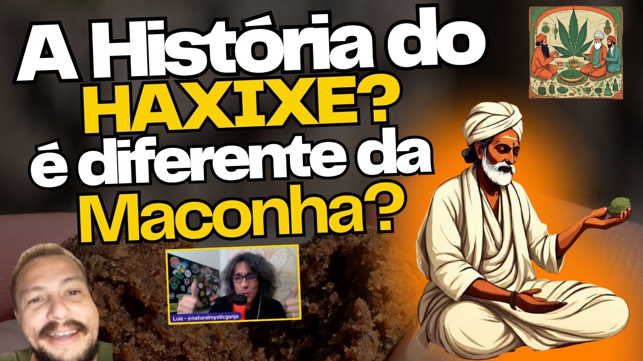 A HISTÓRIA DO HAXIXE - a origem, a expansão, o processo de produção ...