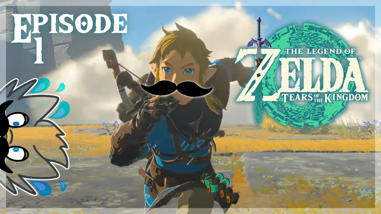 LET'S GO | ZELDA: TOTK #1 (BEST OF FR) - YouTube