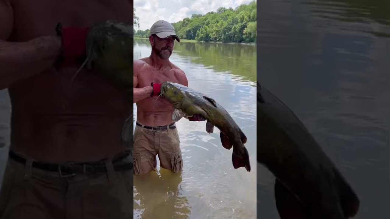 Catch, Clean, Cook: How To Skin a Flathead Catfish I Caught with my ...