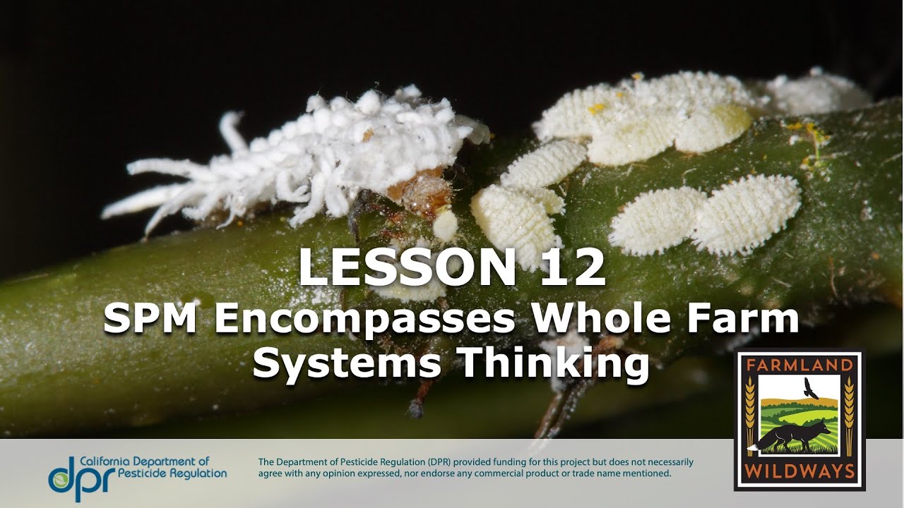 Sustainable Pest Management Encompasses Whole Farm Systems Thinking ...