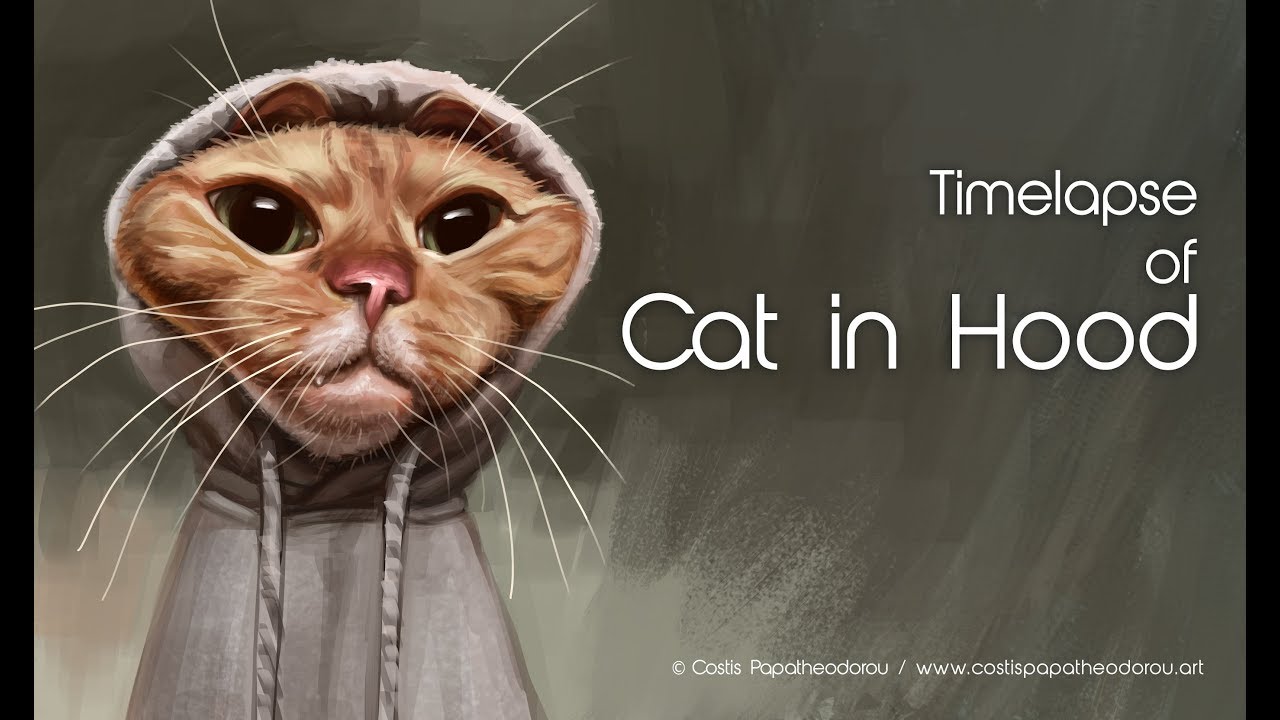 "Cat in Hood" - YouTube