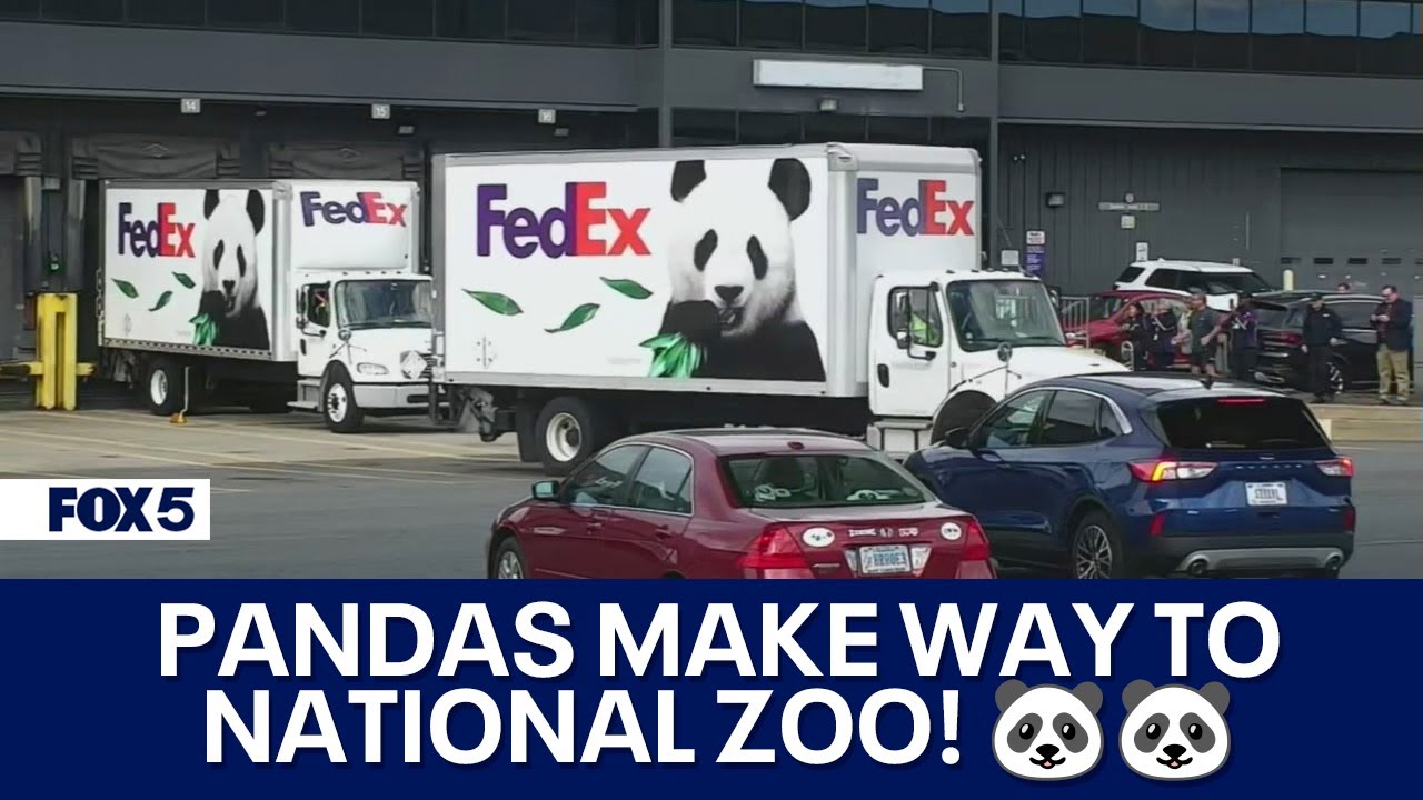 PANDA WATCH! Pandas leave airport on way to National Zoo - YouTube