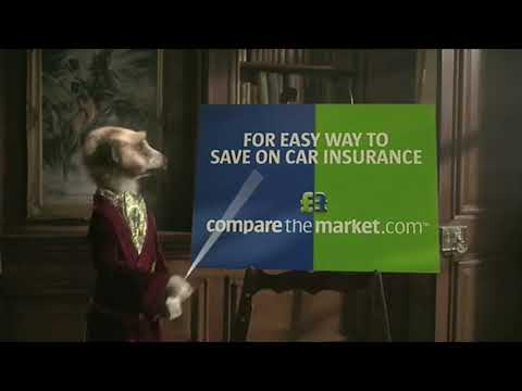Compare the Meerkat TV Commercial with Aleksander | Comparethemarket ...