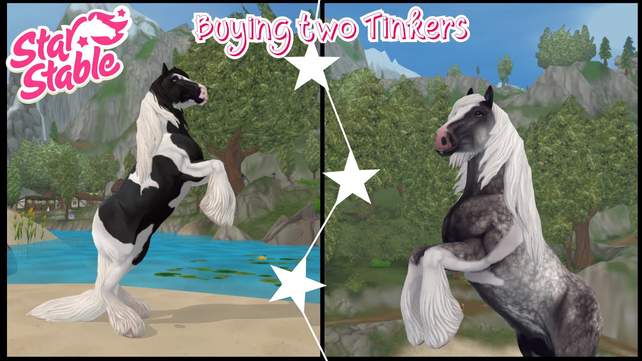 Star Stable - Buying 2 Tinkers - YouTube