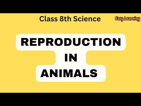 Reproduction in Animal | Class 7 Science| NCERT based - YouTube