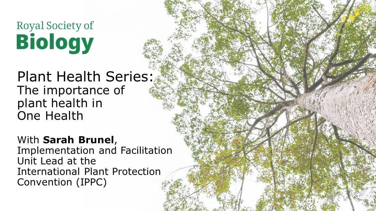 Plant Health Series | The importance of plant health in One Health ...