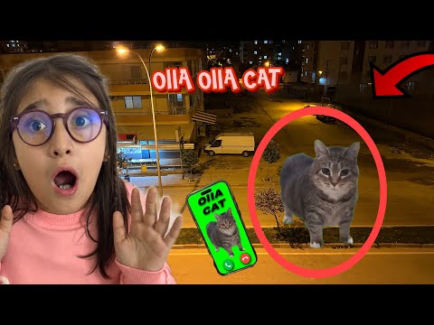 ELİF ASEL, OIIAOIIA CAT EXE KEDİ ARIYOR KAPIDA