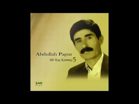 Abdullah Papur - Gözlerim Yollarda | Bir Kuş Konmuş | © Şah Plak