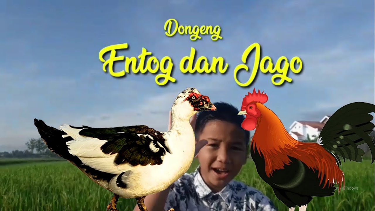Cerita "Entok & Jago" (Asal mula lagu "Mentog-Mentog) - YouTube