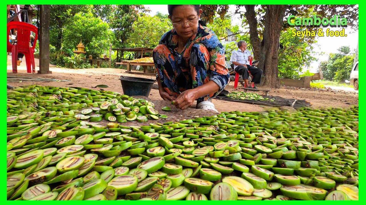 KOH PEN Tour! Beautiful Village Along Mekong River! Exploring Bee Farm ...