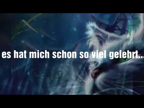 Was warrior cats mich lehrte... - YouTube